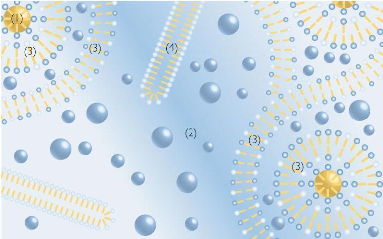 Emulsionstypen unterscheiden | Emulsionen herstellen | Olionatura