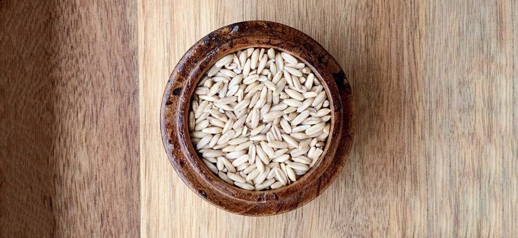 Hafersamenöl (Avena sativa (Oat) Kernel Oil) | Olionatura